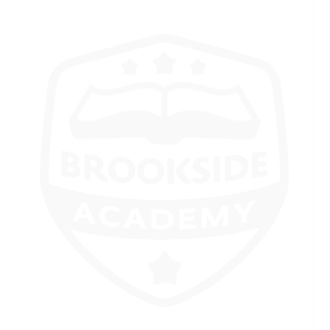 Brookside Academy - Nurturing Minds, Shaping Futures with Christian ...